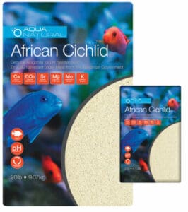 Calcean African Cichlid | Seaflower