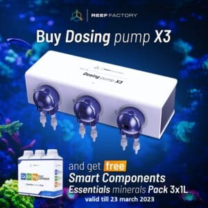 Seaflower Sinds 2006 De #1 Voor Al Uw Zeeaquarium Producten